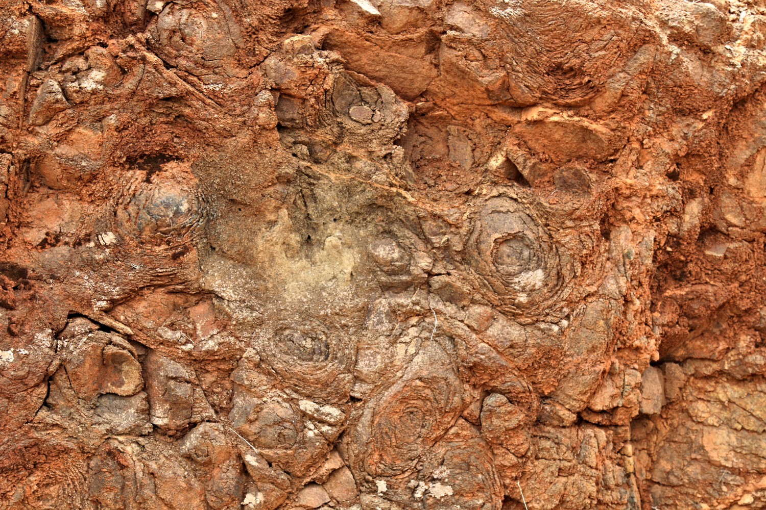 Geomorphology Field Trip | RiverConnect