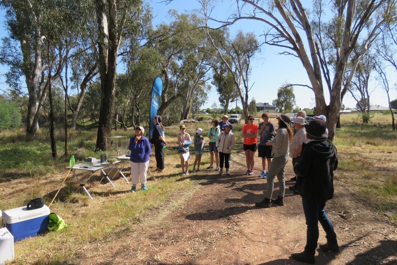 Boulevard Bush Reserve Community Day | RiverConnect
